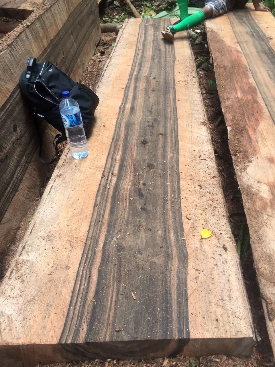 Ebony Sawn Timber | Ebony Sawn Timber | PT Sumber Sejahtera Alamindo